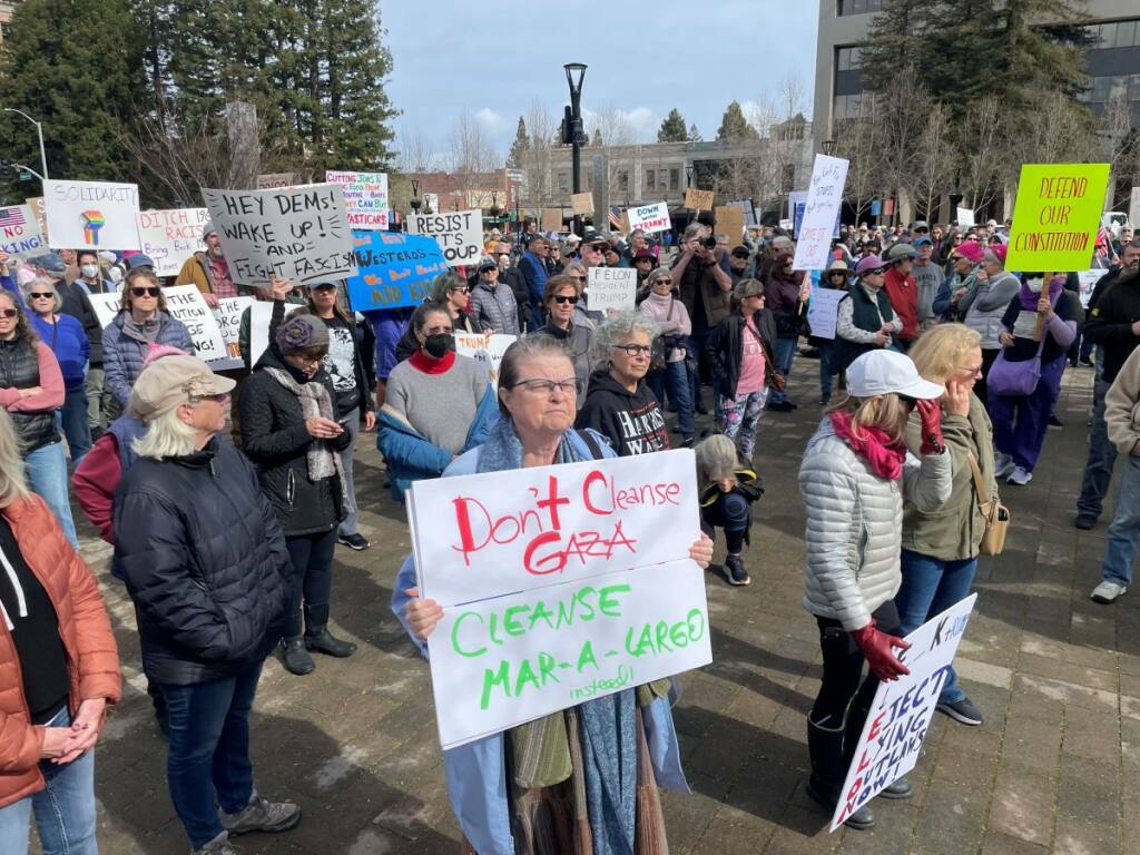 protesters carrying signs and flags gather monday at old courthouse ...