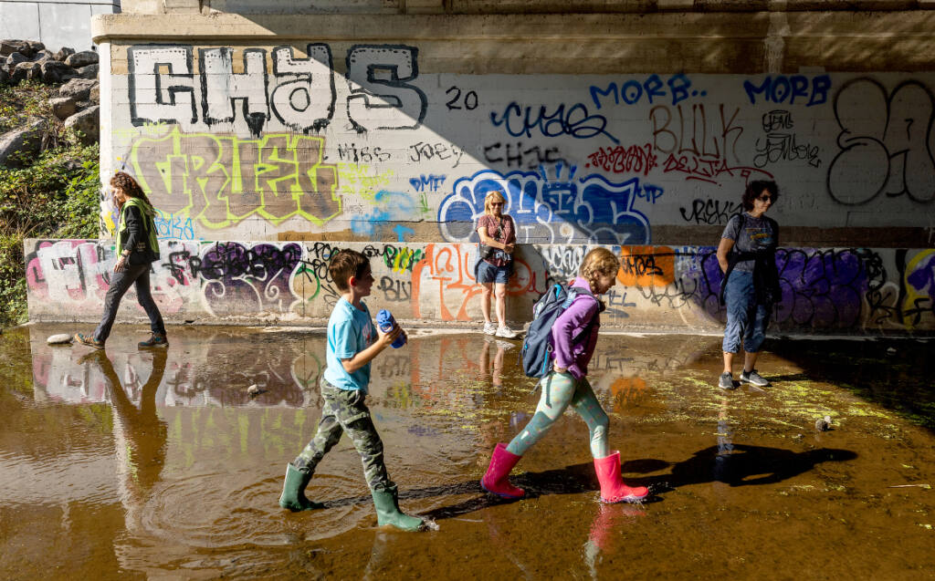 participants wait at the opening of the santa rosa creek culvert for a ...